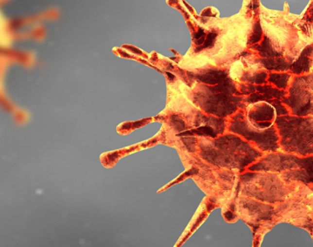 Checkpoint Learning CPE for CPAs | Your online resource for CPA CPE